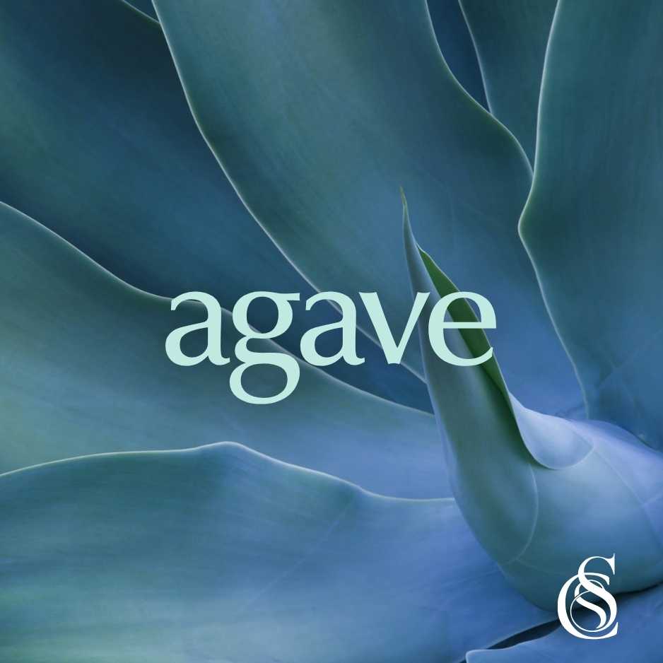 Agave Fragrance Oil