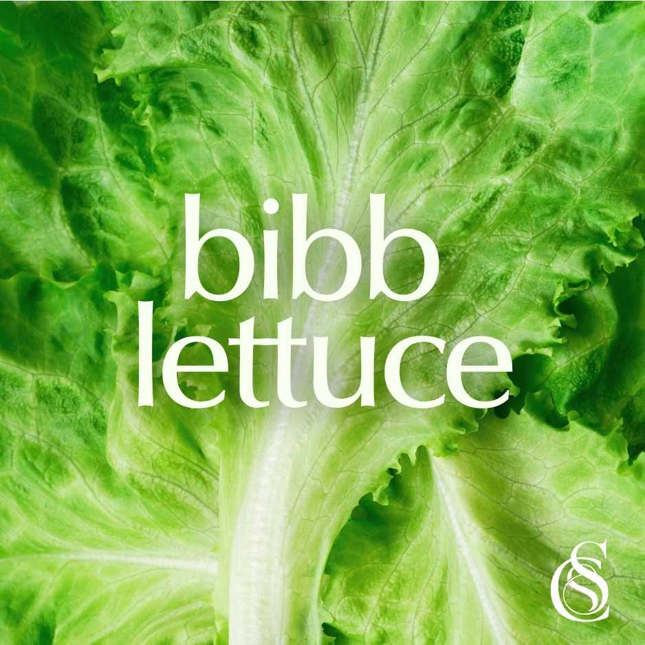 Bibb Lettuce Fragrance Oil