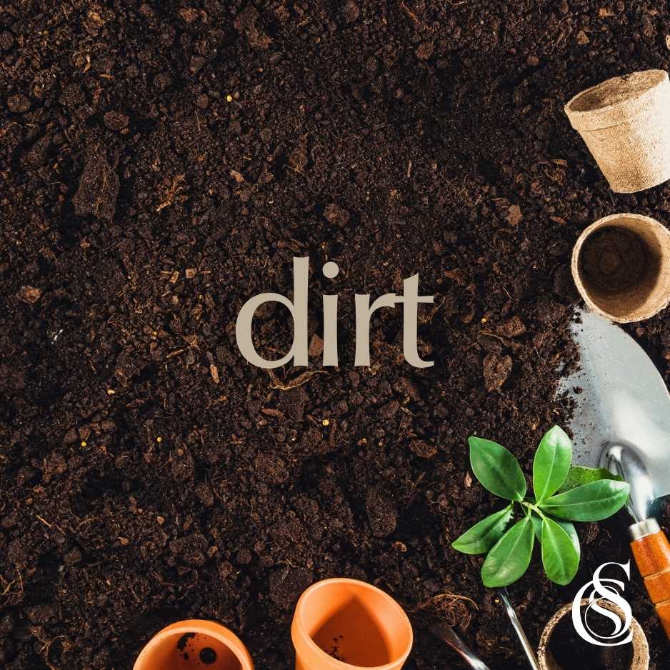 Dirt Fragrance Oil